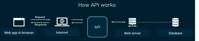 Developer API – SENDPK.COM
